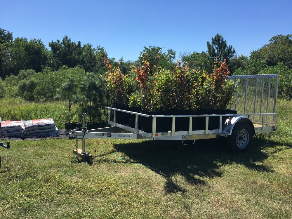 Super Trees for Sustainability Initiative — Houston Wilderness