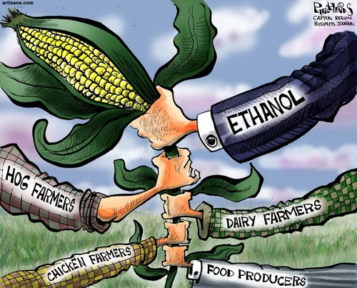 Political Food Cartoons — The Hungry Gypsy: A Personal, Health, Food ...