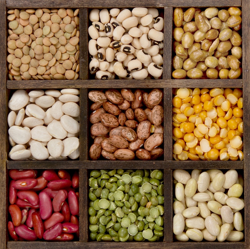 Food — The Hungry Gypsy: A Personal, Health, Food and Travel Blog.