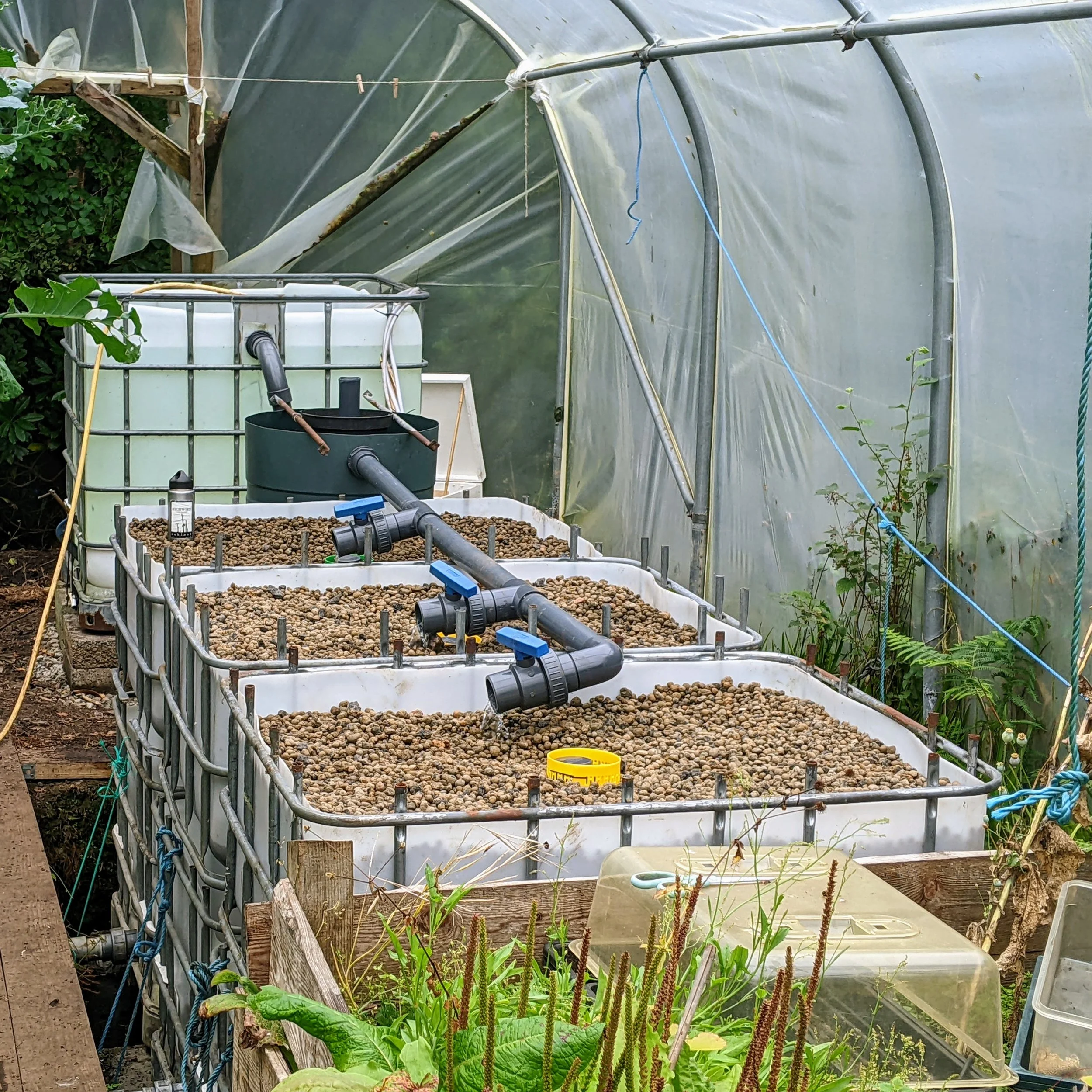Recirculating Aquaponic Systems