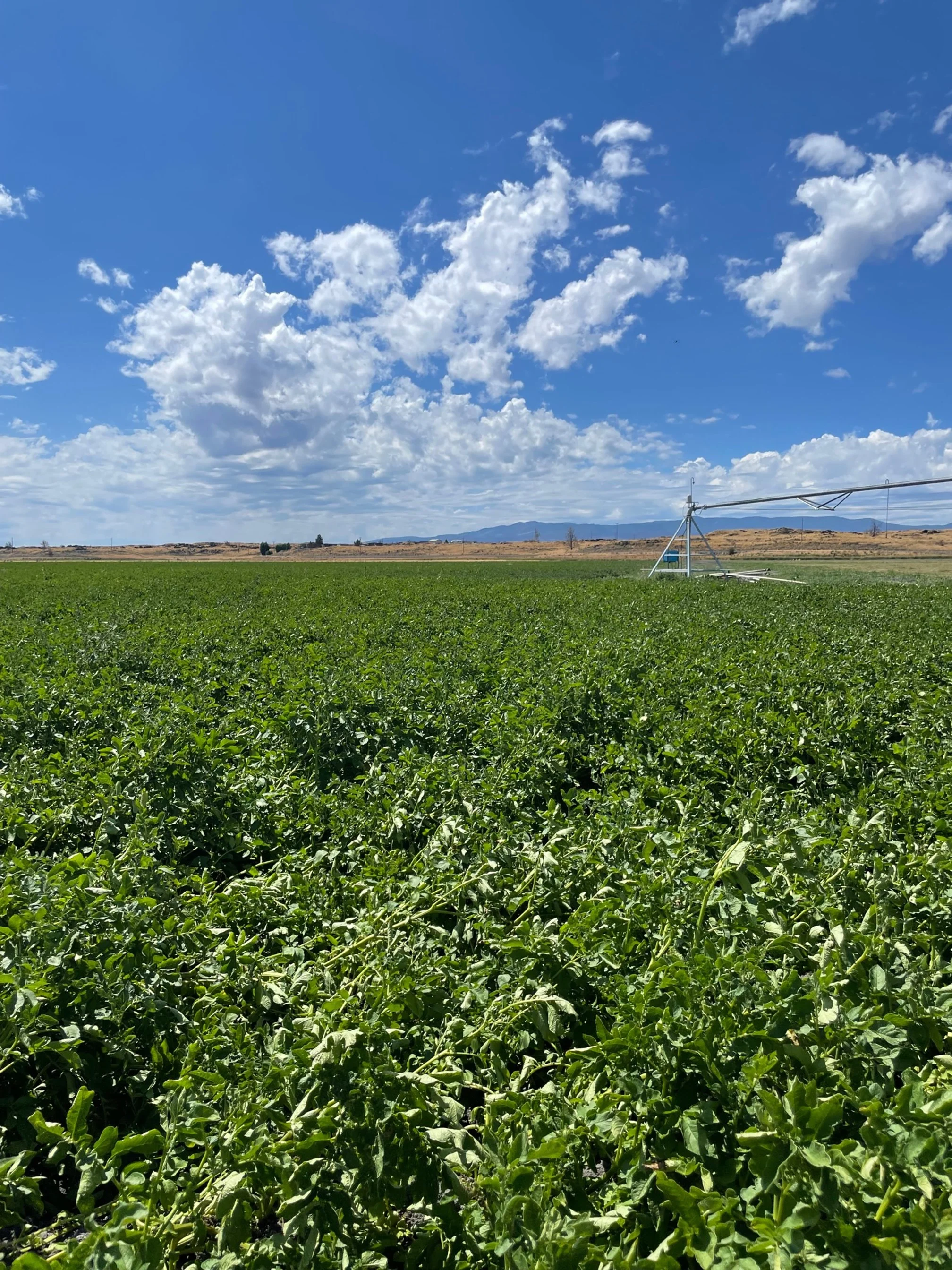 Our Team — Cal-Ore Produce