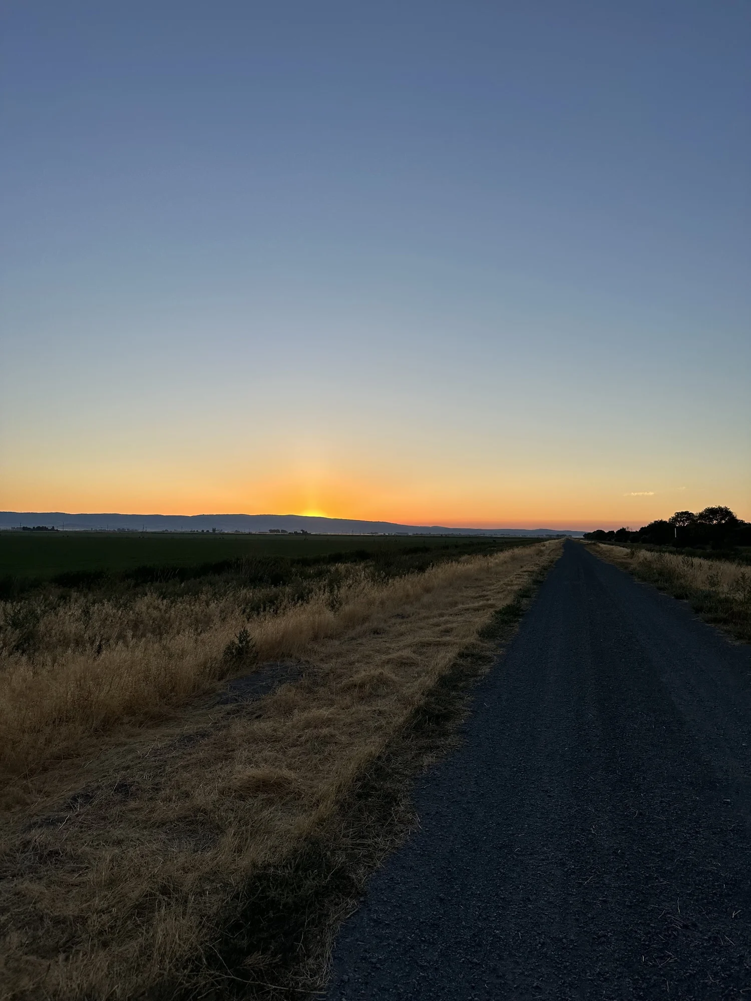 Our Team — Cal-Ore Produce