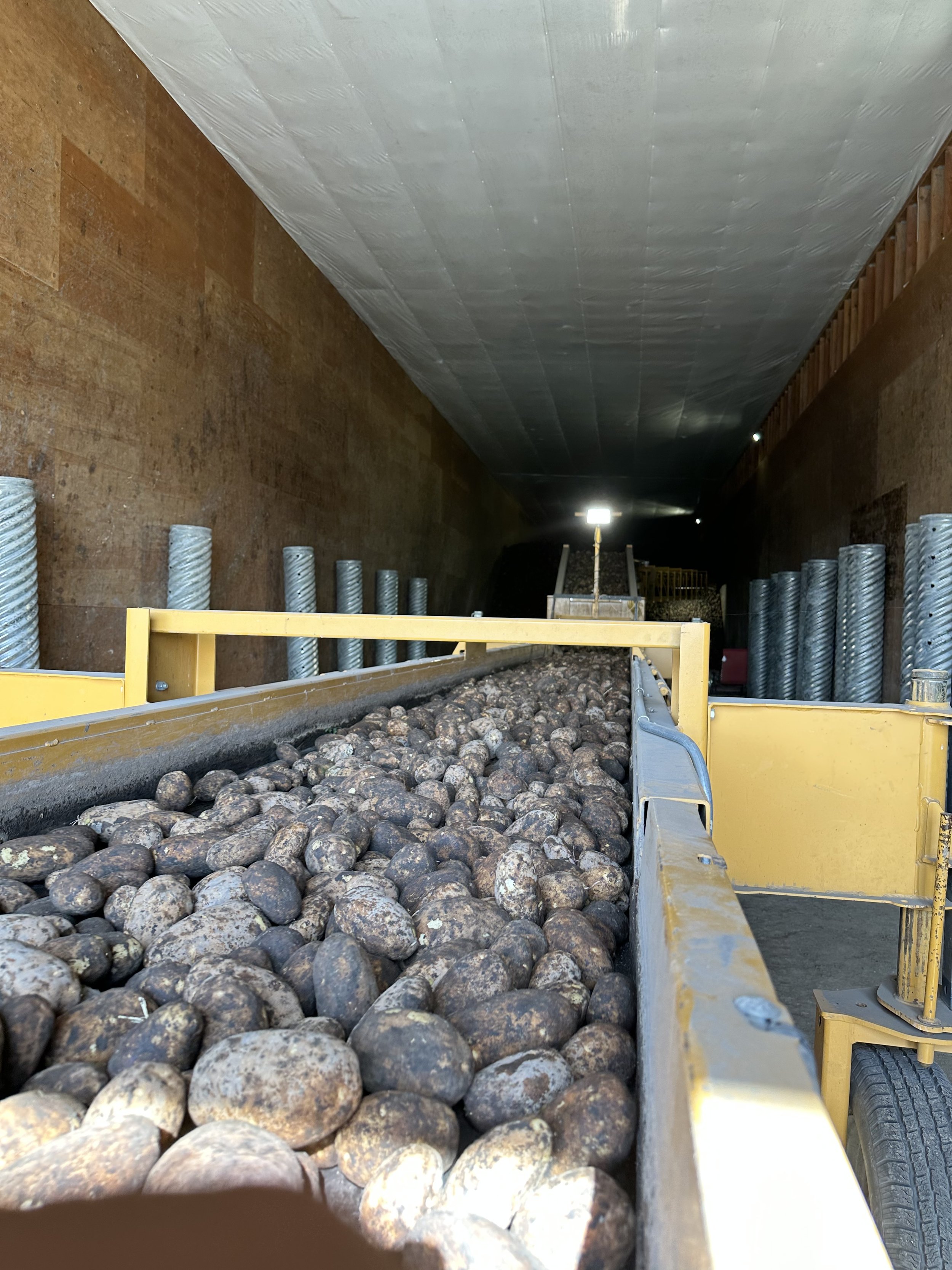 Our Potatoes — Cal-Ore Produce