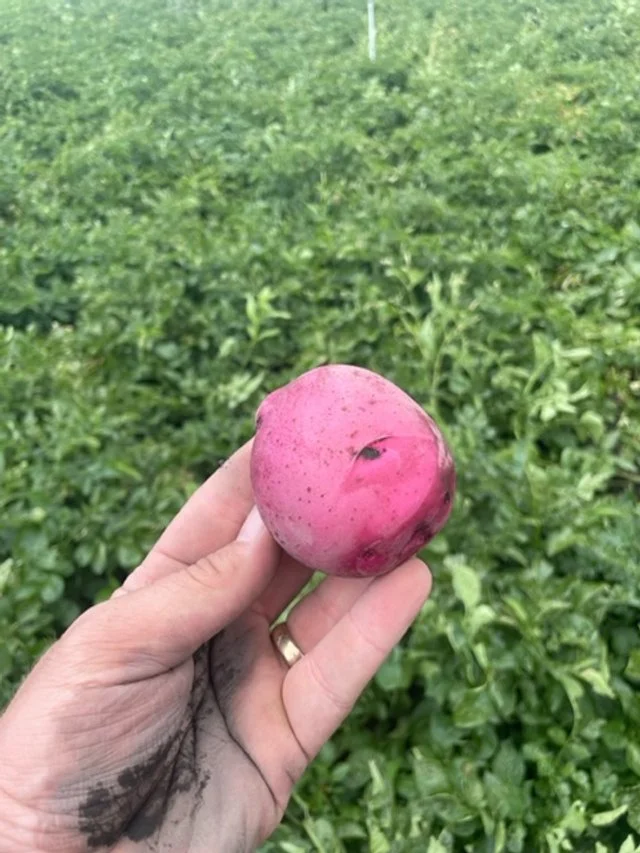 Our Team — Cal-Ore Produce