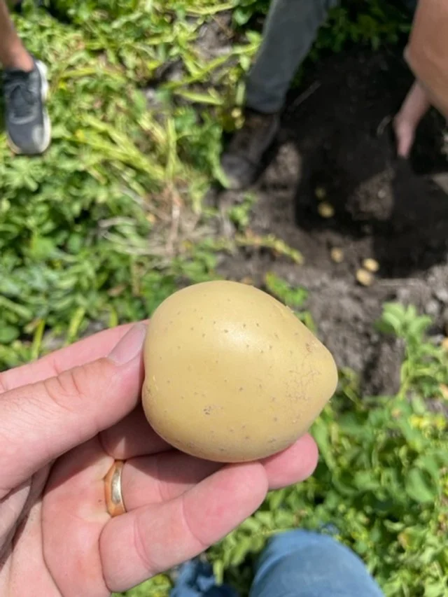 Our Team — Cal-Ore Produce