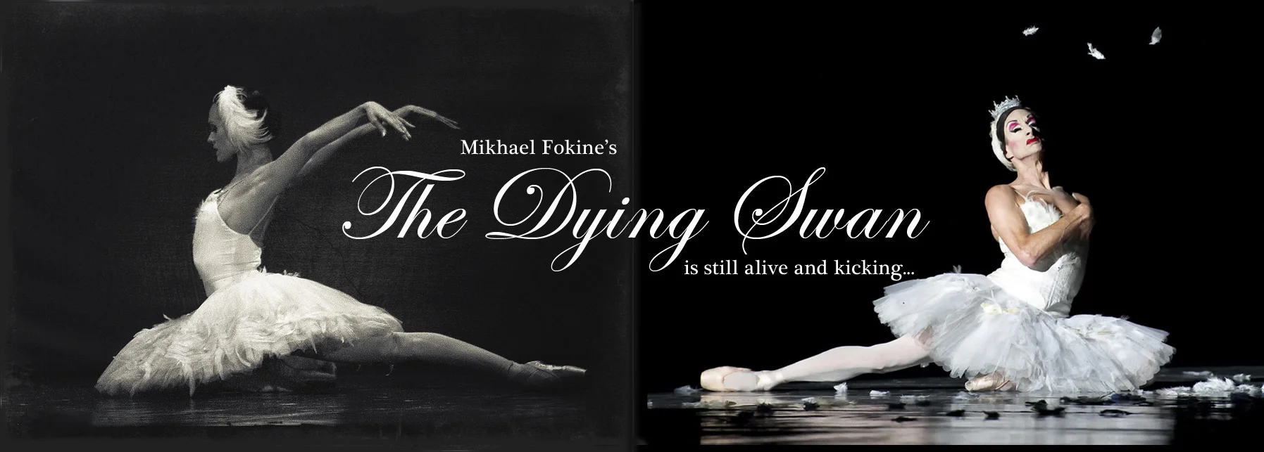 Funny Ballet Dying Swan