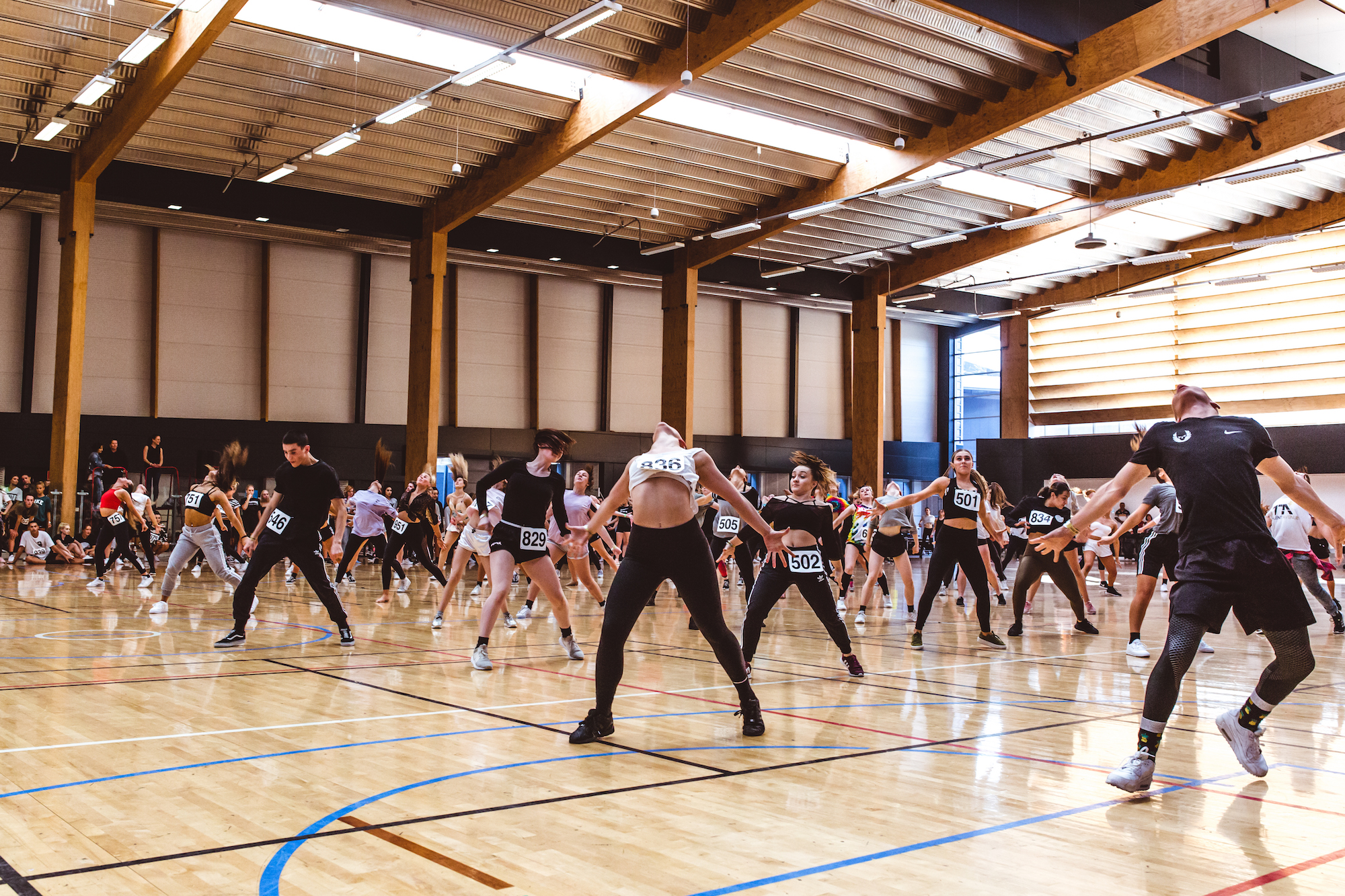 Australian Dance Festival 2017: The best of everything — A Dancer's Life