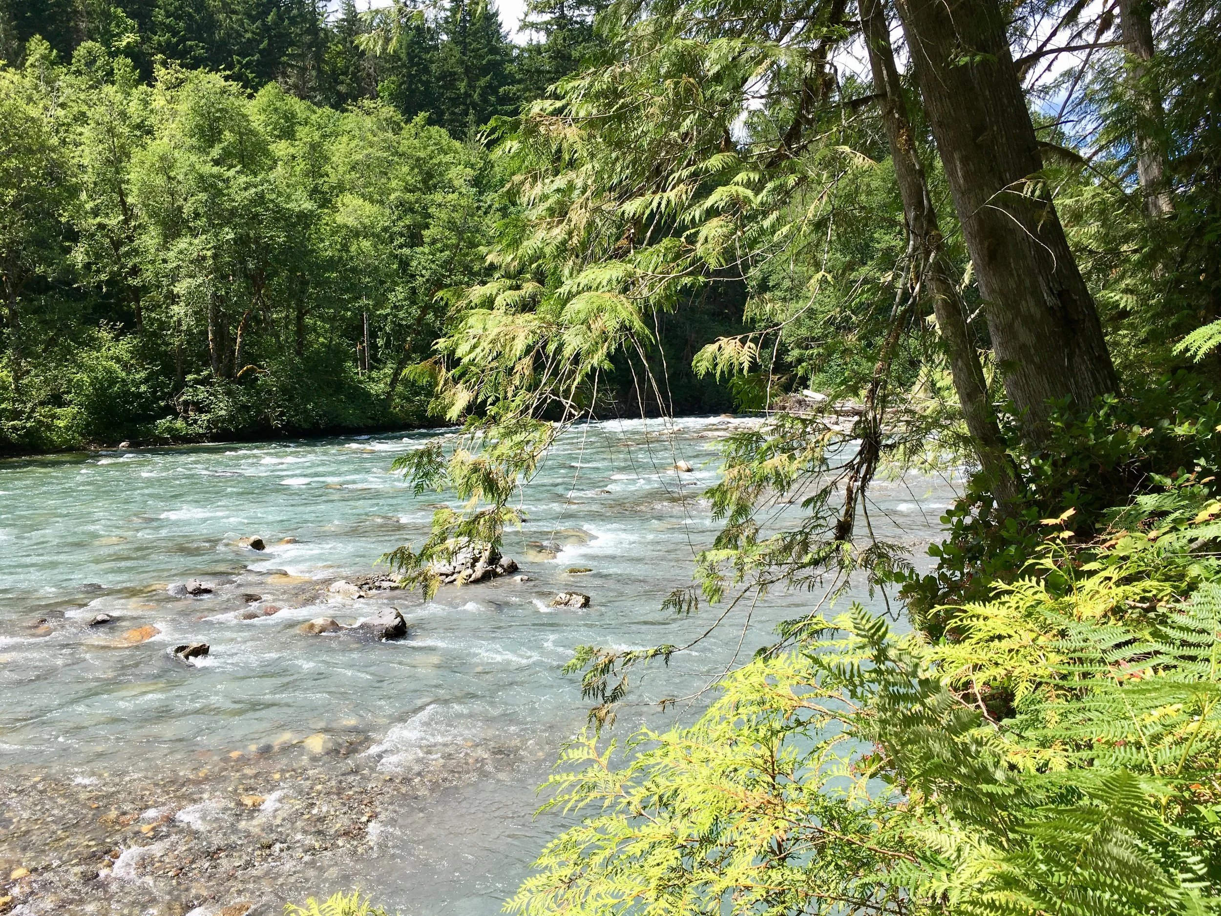 Predicting Whitewater — Triad River Tours | Whitewater River Rafting ...