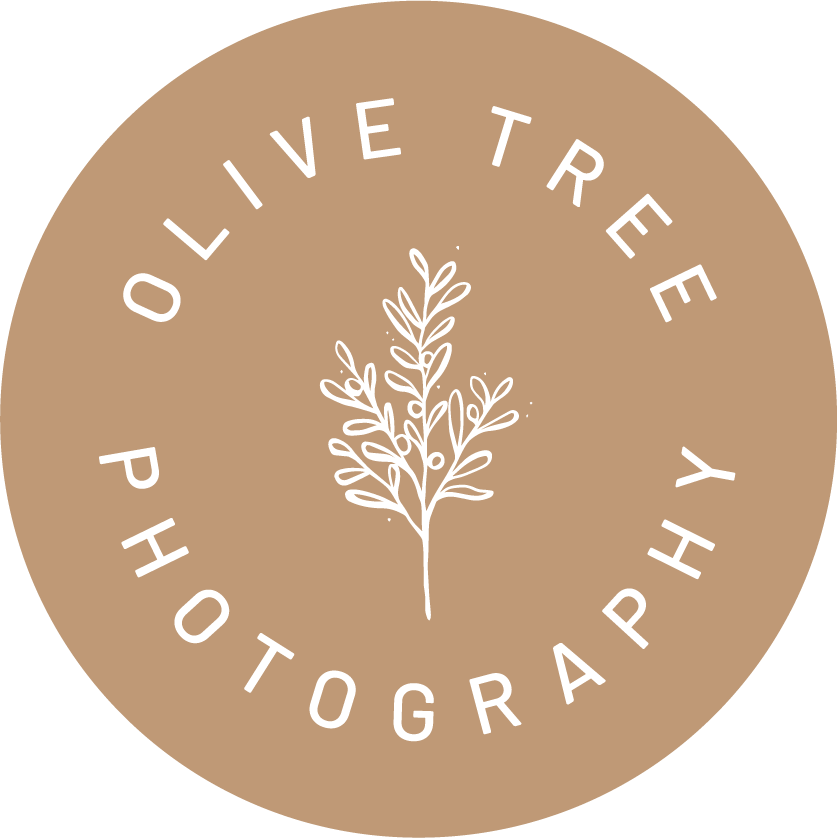 Weddings — Olive Tree Photography