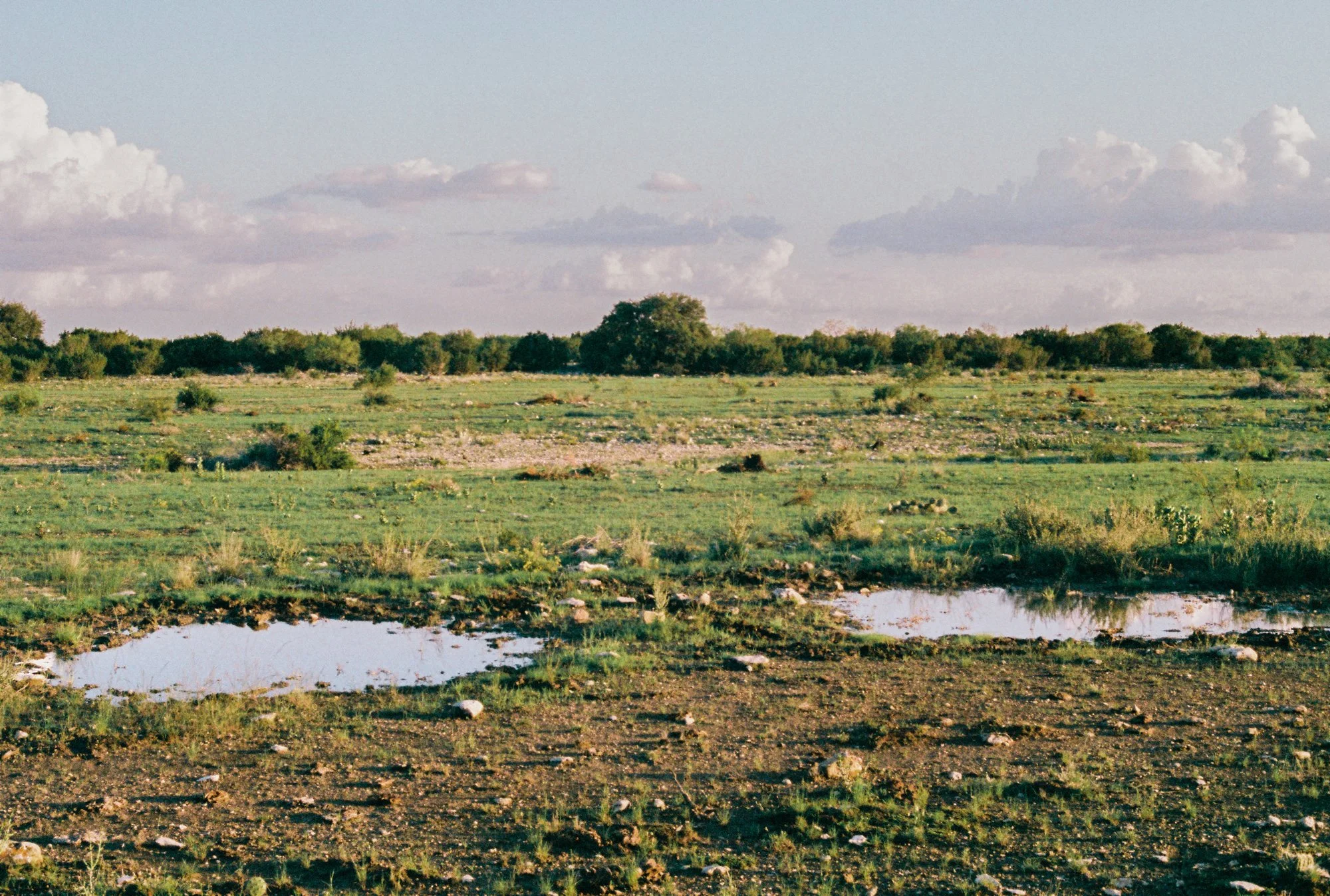 Shop — Olive Tree Photography