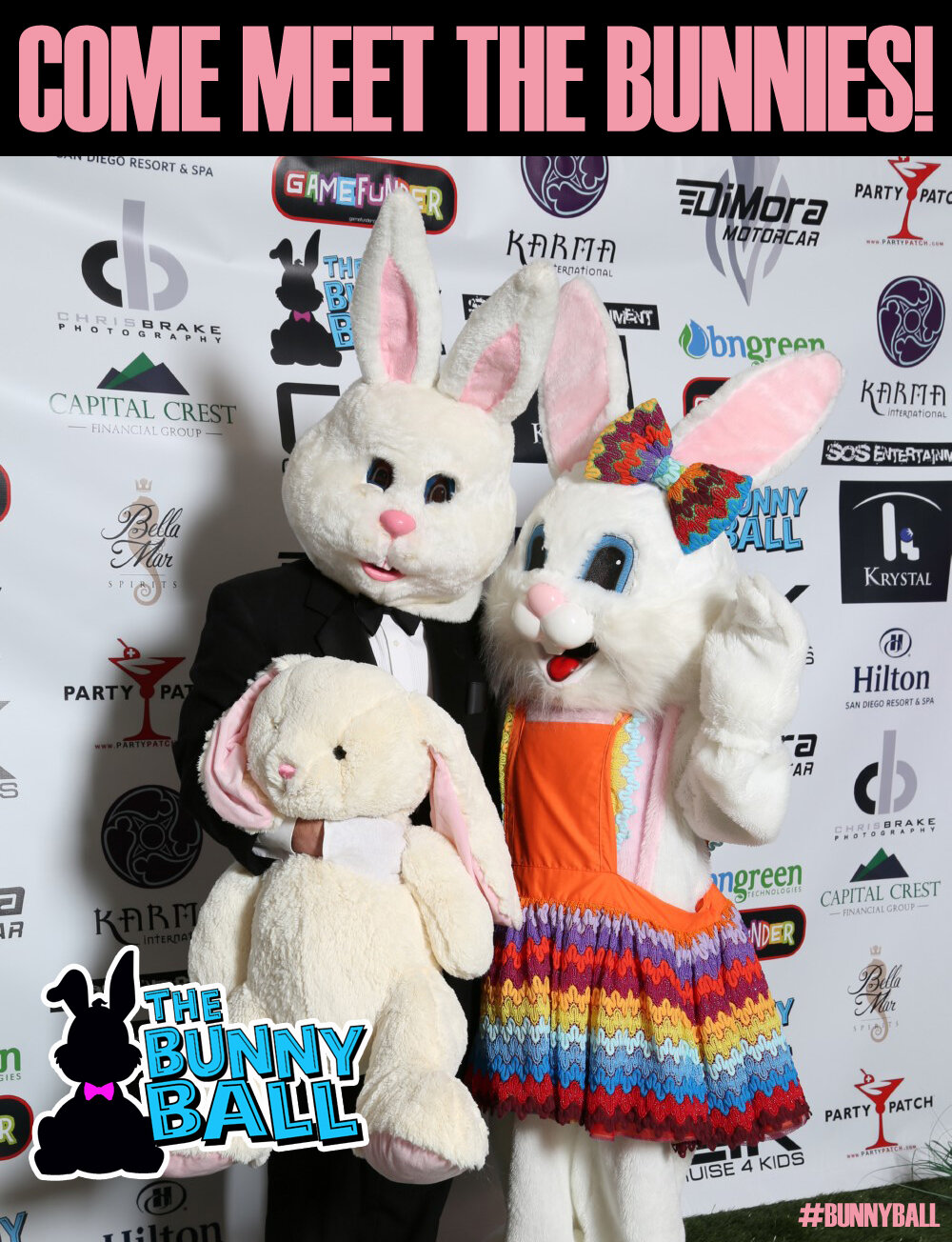 Bunny Ball — Cruise 4 Kids
