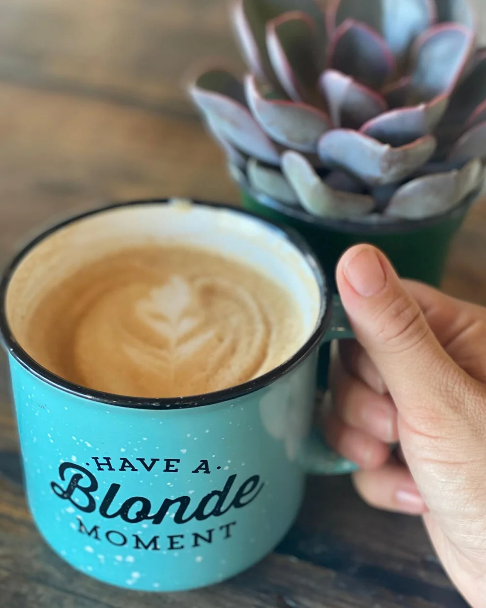 Blondies Blondies Cafe Canmore Coffee