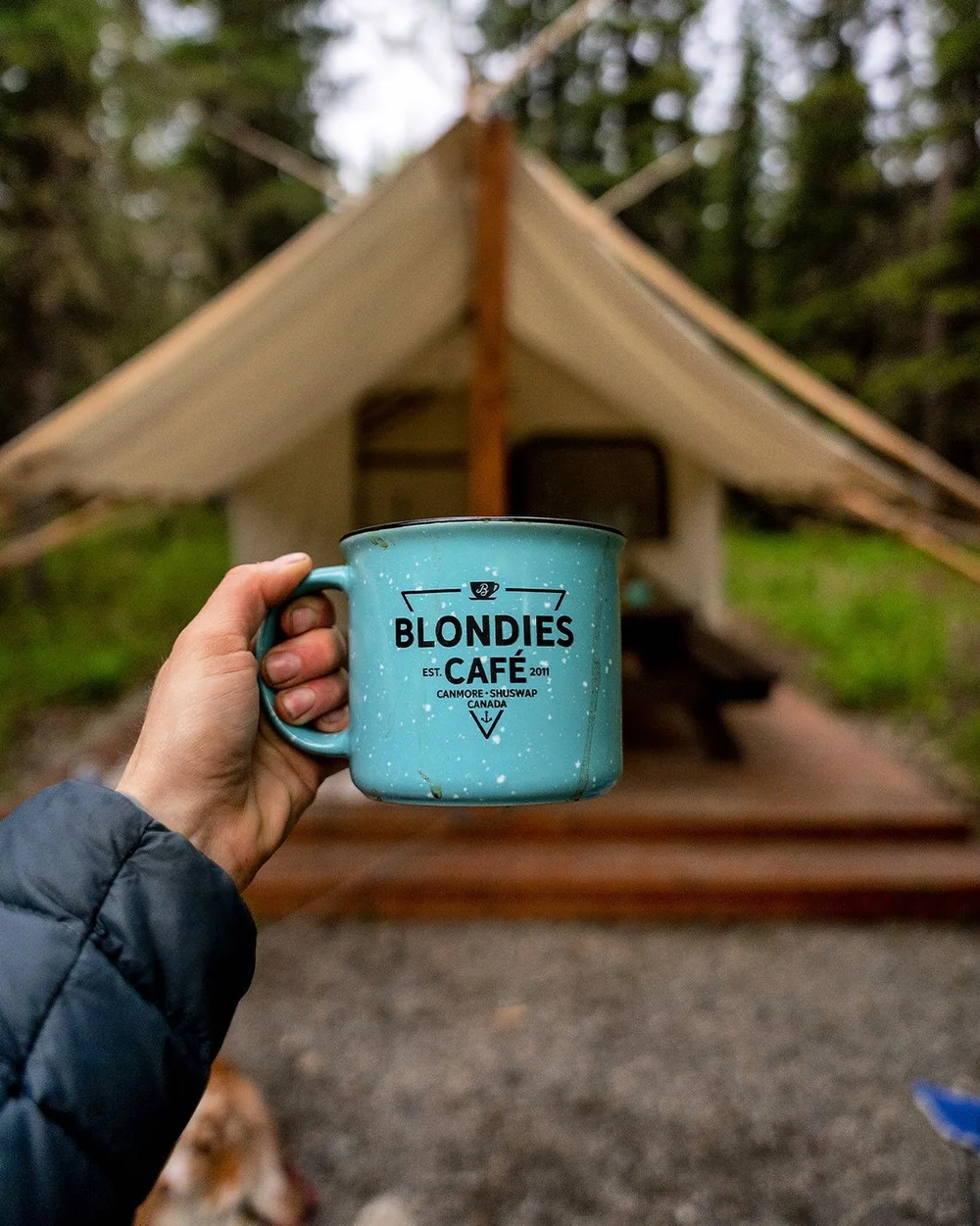 Blondies Blondies Cafe Canmore Coffee