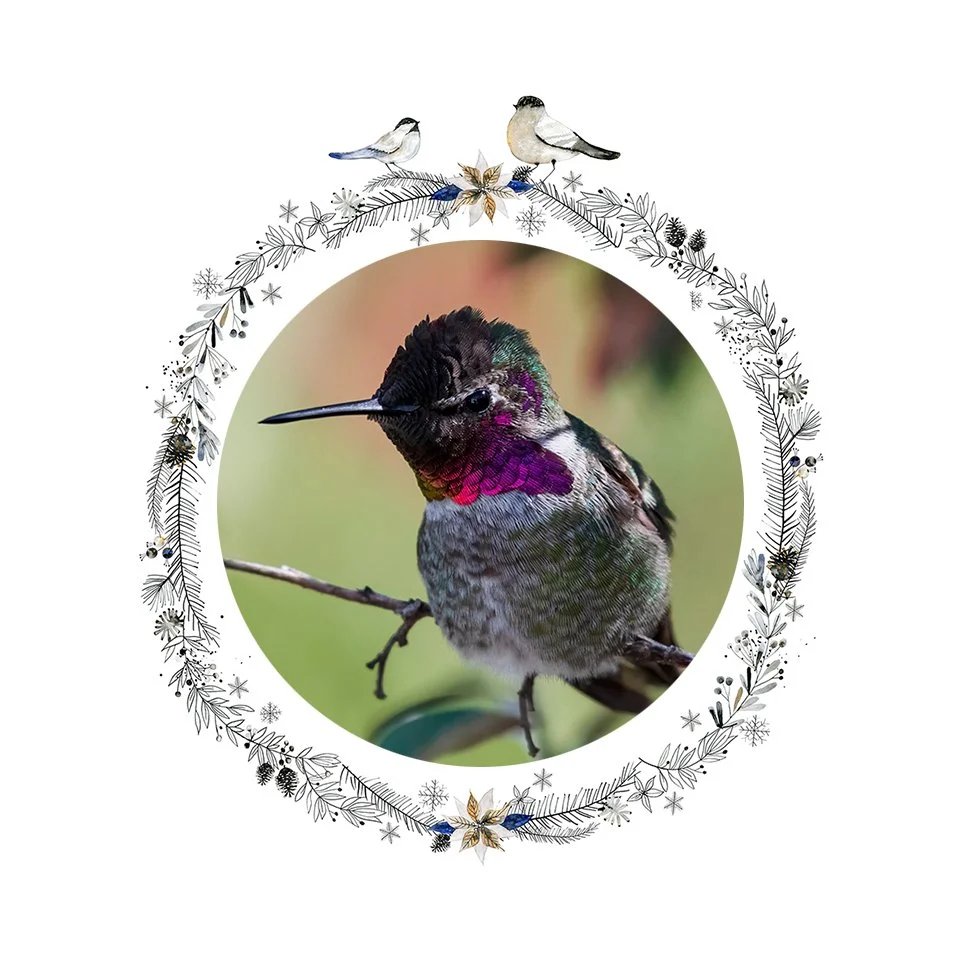 Arts — Visit Jenner by the Sea