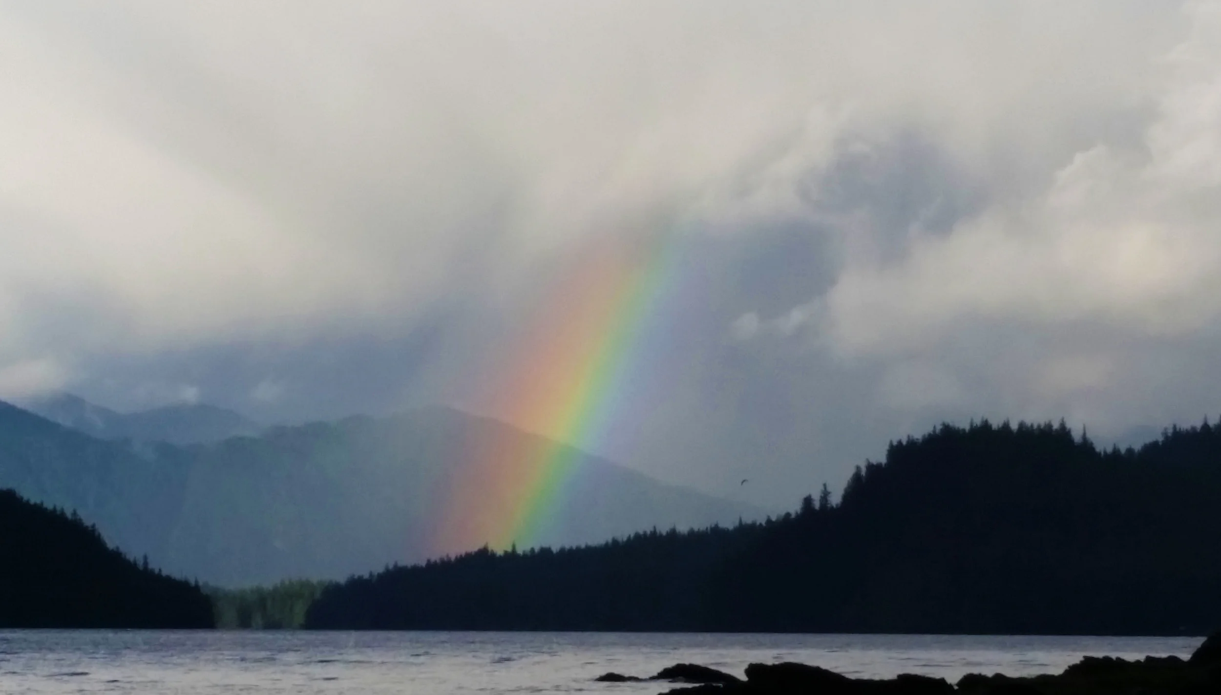 Ketchikan Winter | Southeast Sea Kayaks