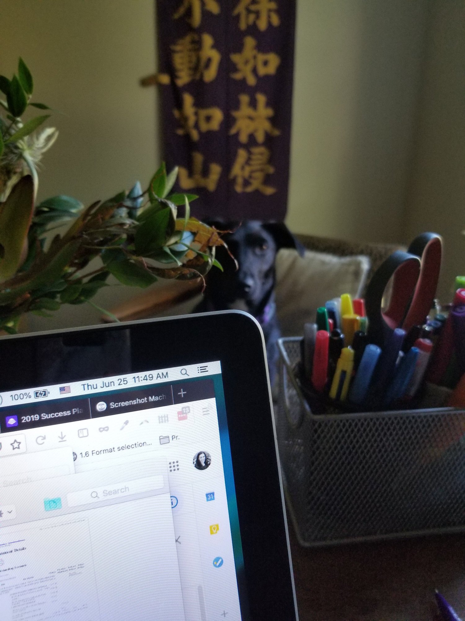 Debunking Productivity: Part 1 - Reframe — Lana Kitcher | LK Consultants