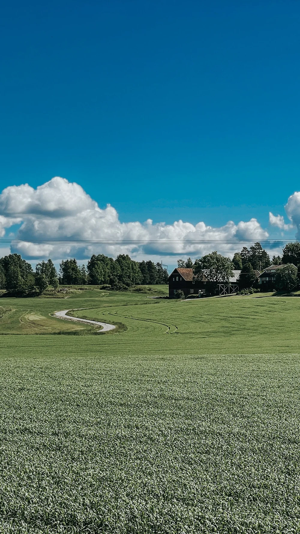 Hølen & Kroer — Vegtur