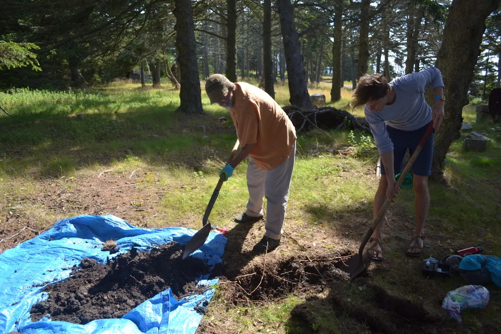 Digging Holes and Identifying Earthworms — Hurricane Island Center for ...