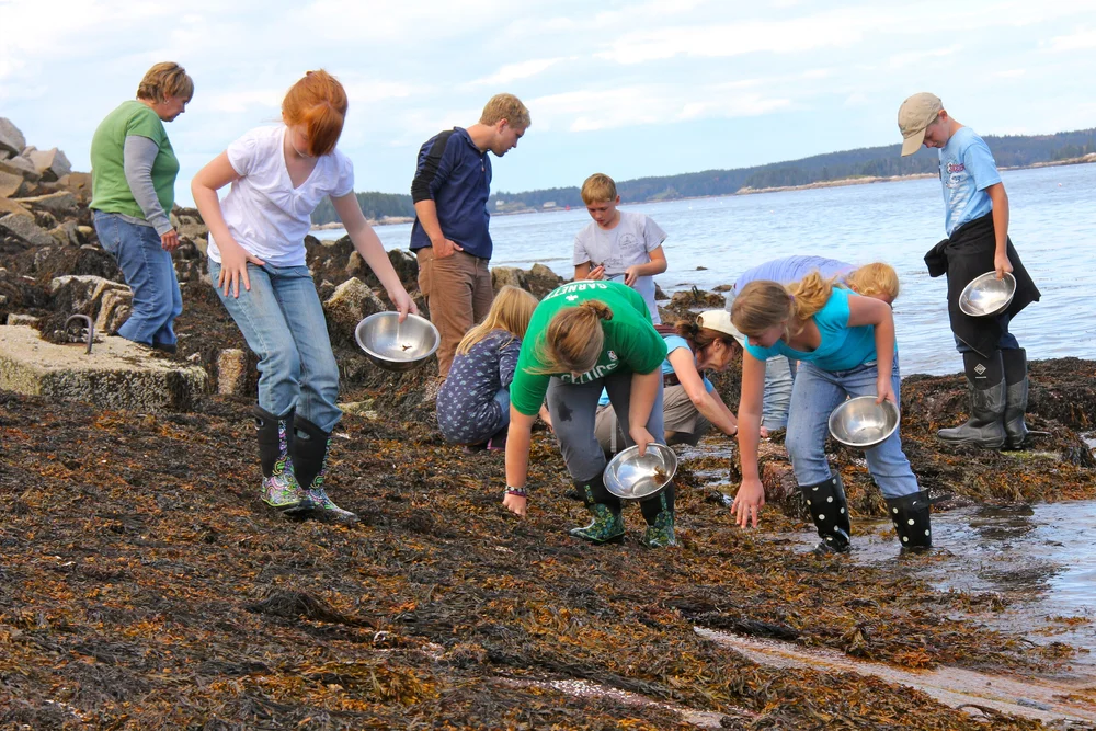 Hurricane Island Center for Science and Leadership