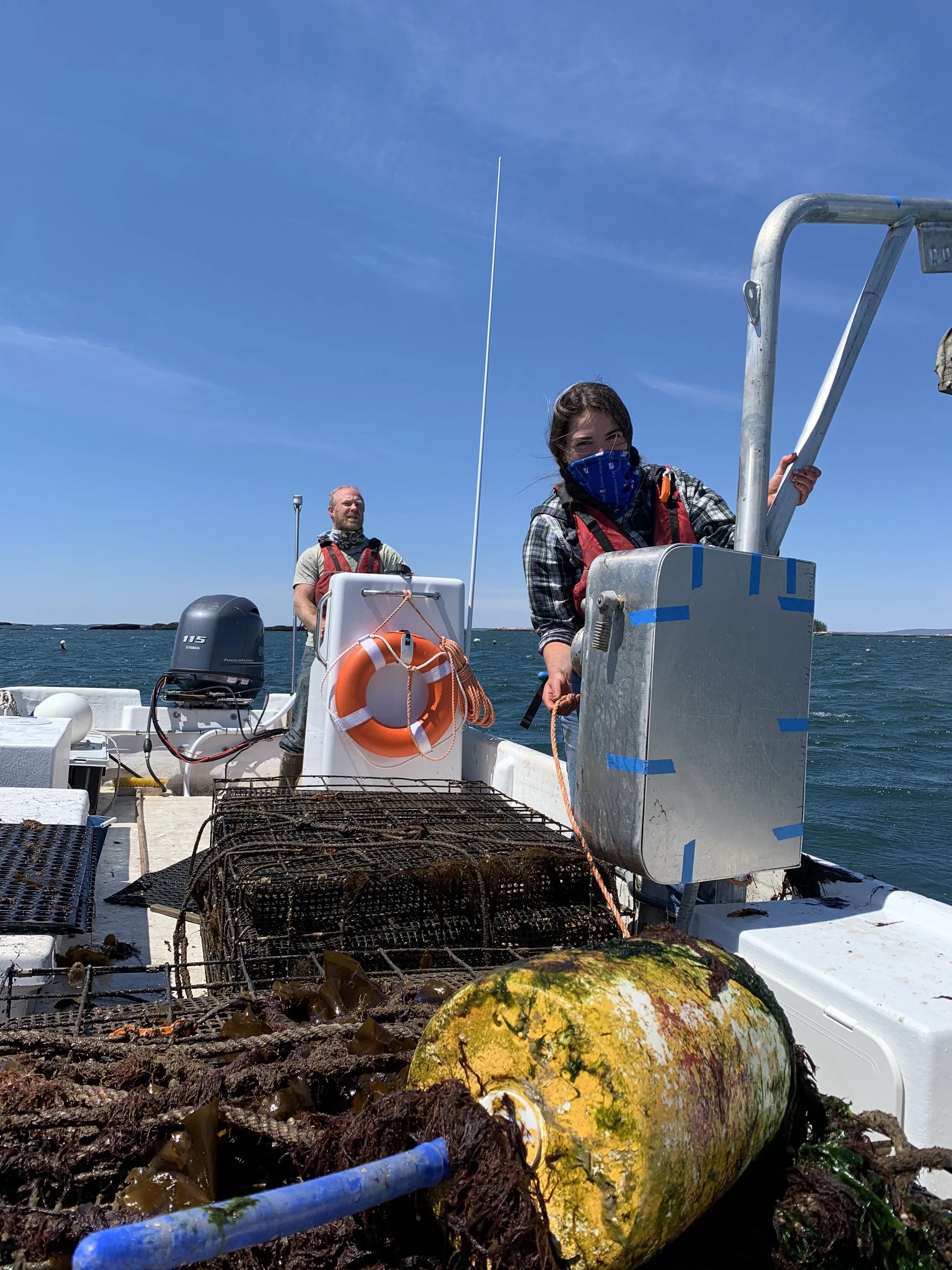 Why Hurricane Island? — Hurricane Island Center for Science and Leadership