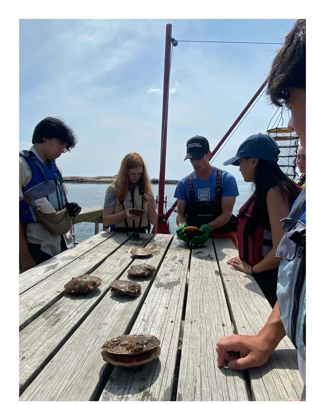 Hurricane Island Blog — Hurricane Island Center for Science and Leadership