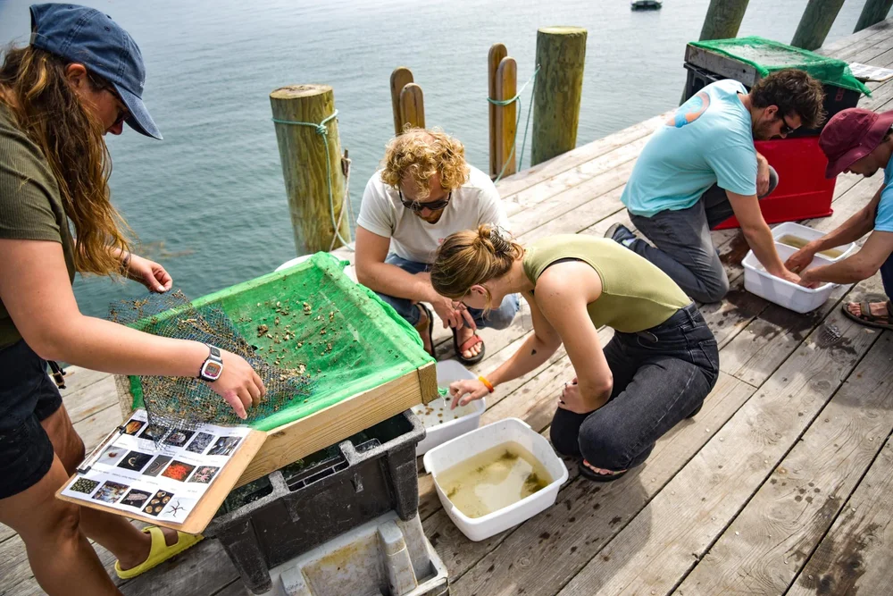 Aquaculture Skill Sessions — Hurricane Island Center for Science and ...