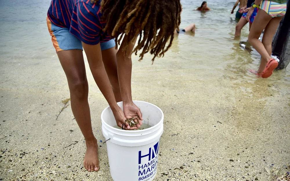 Field Research Station — Hurricane Island Center for Science and Leadership