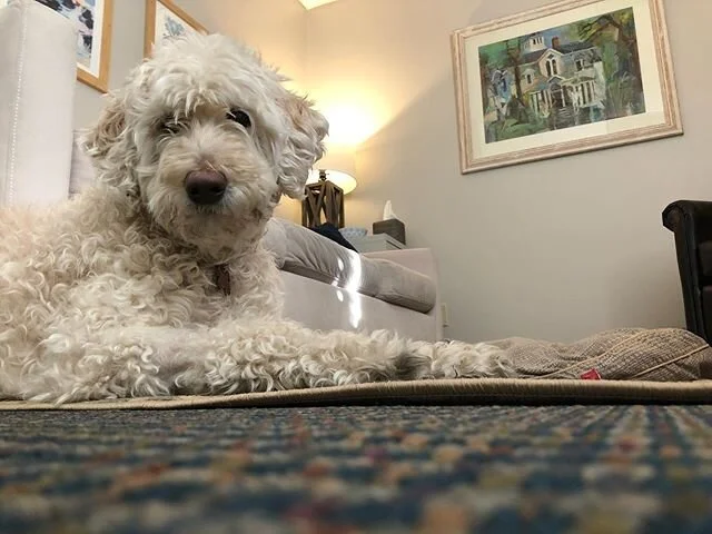 Emily Miller Counseling