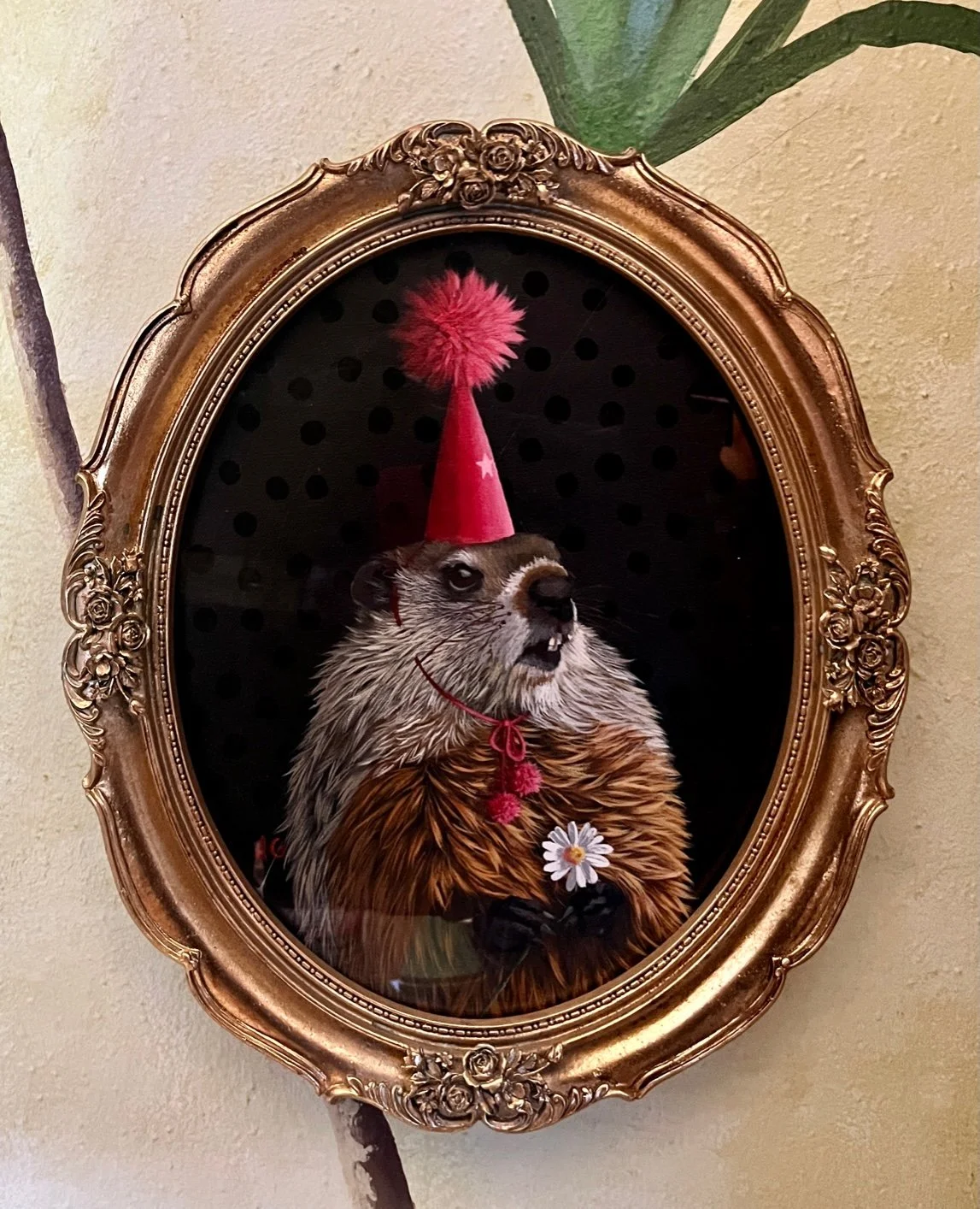 Art Collections — Heather Gauthier Art