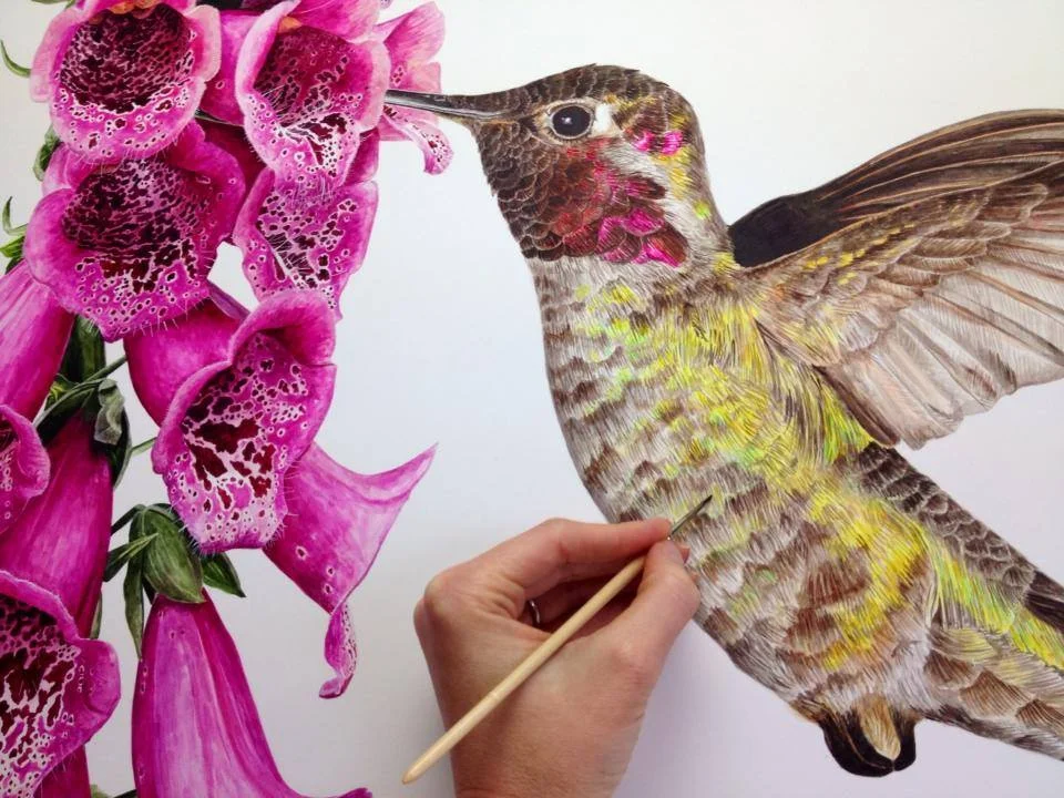 Anna Mason Art
