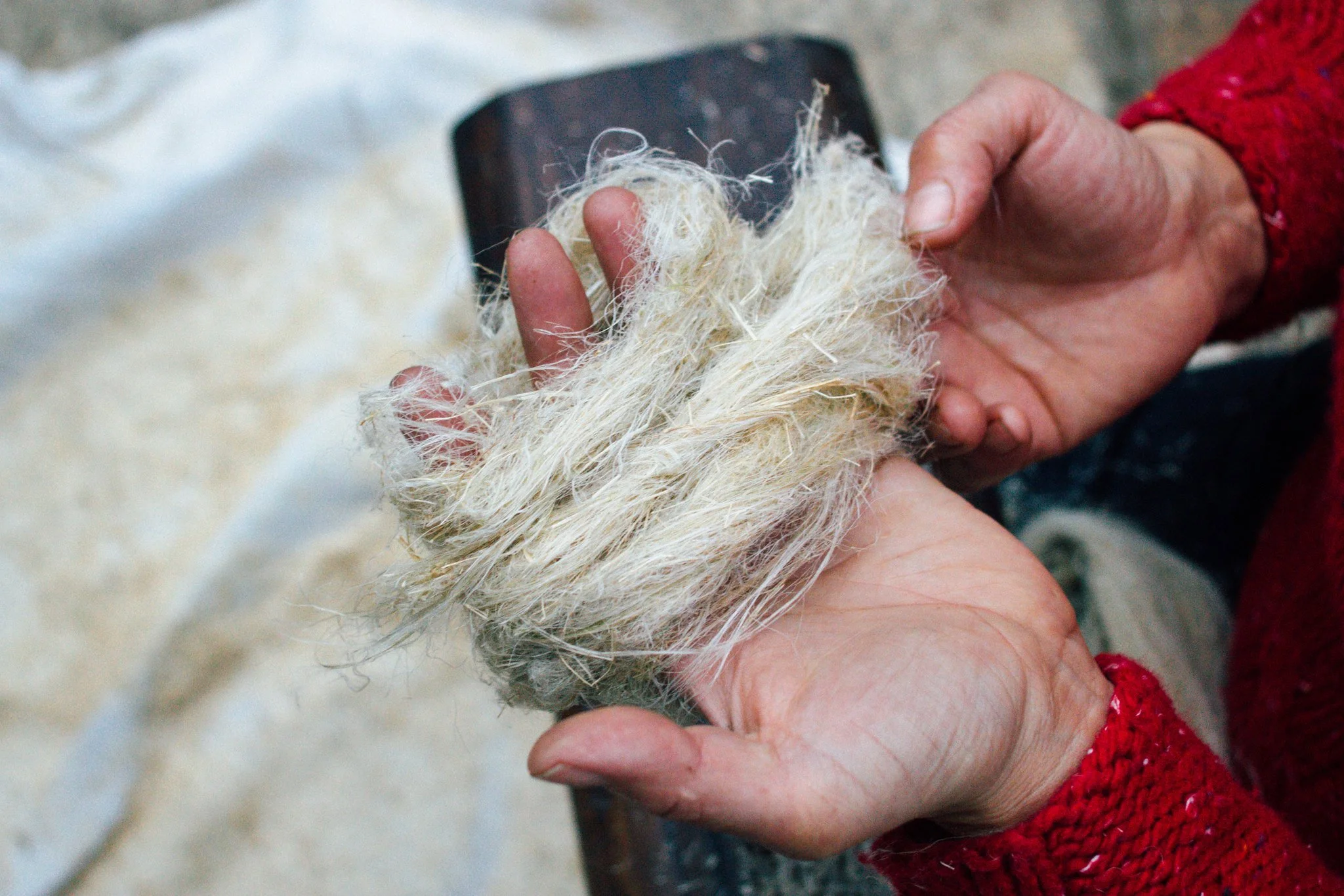 O Linho, a Estopa e os Tomentos: uma explicação — Saber Fazer