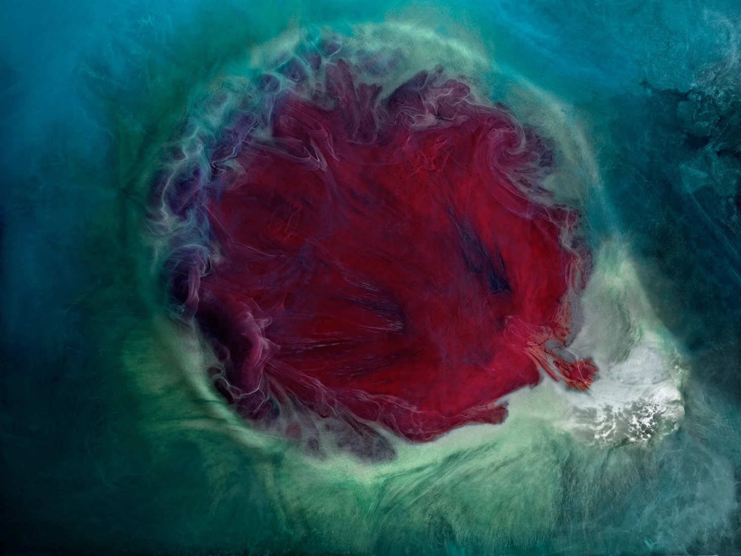 Giles Revell: Uncovering the Unseen Story — HappyFriday