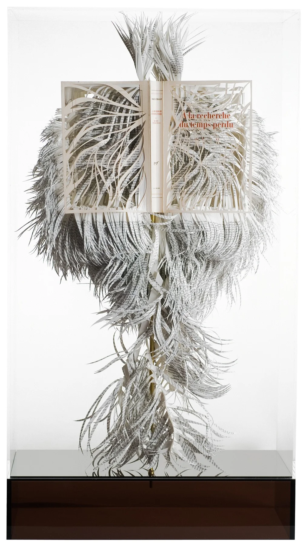 Georgia Russell: A Thousand Cuts to Transformation — HappyFriday