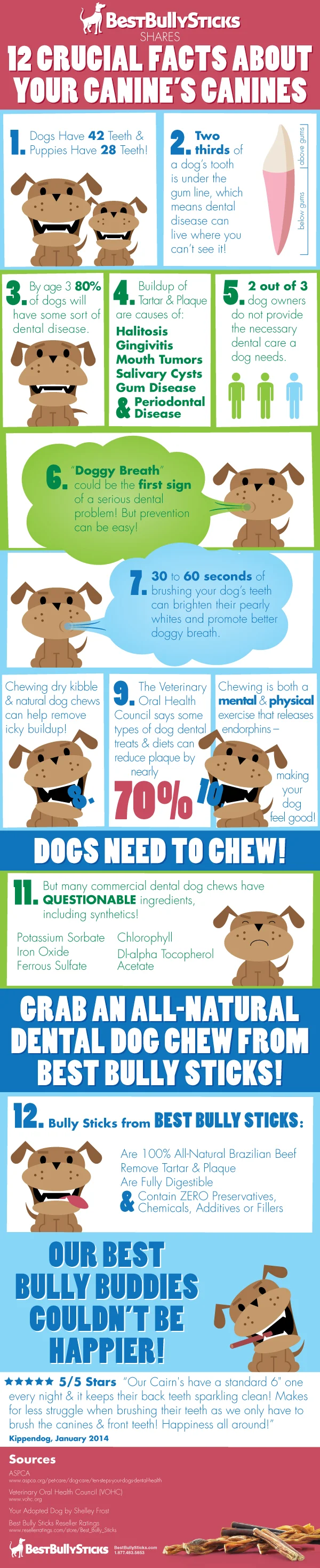 Primal -12 Crucial Facts About Your Canine's Canines