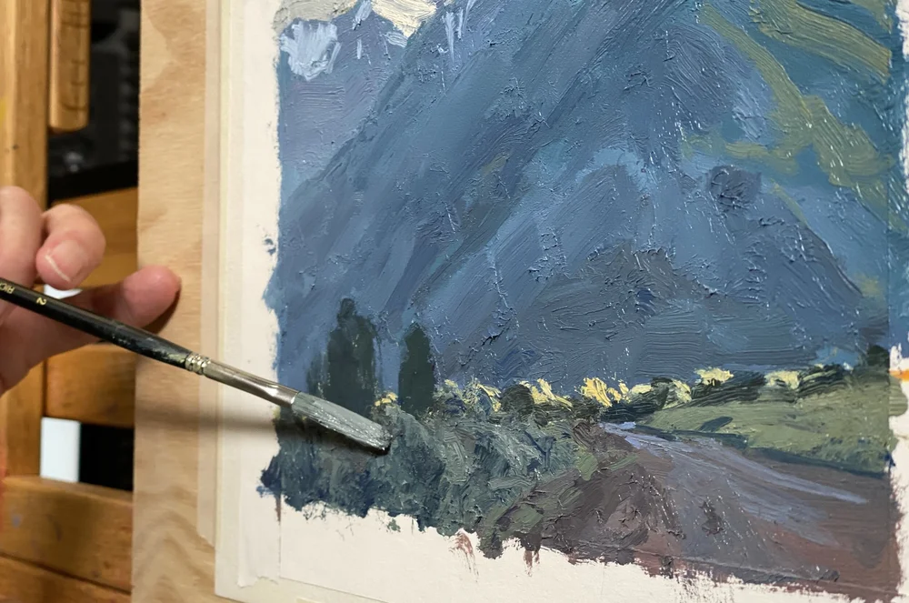 Skip Whitcomb 365 Day Online Mentoring — TAAO