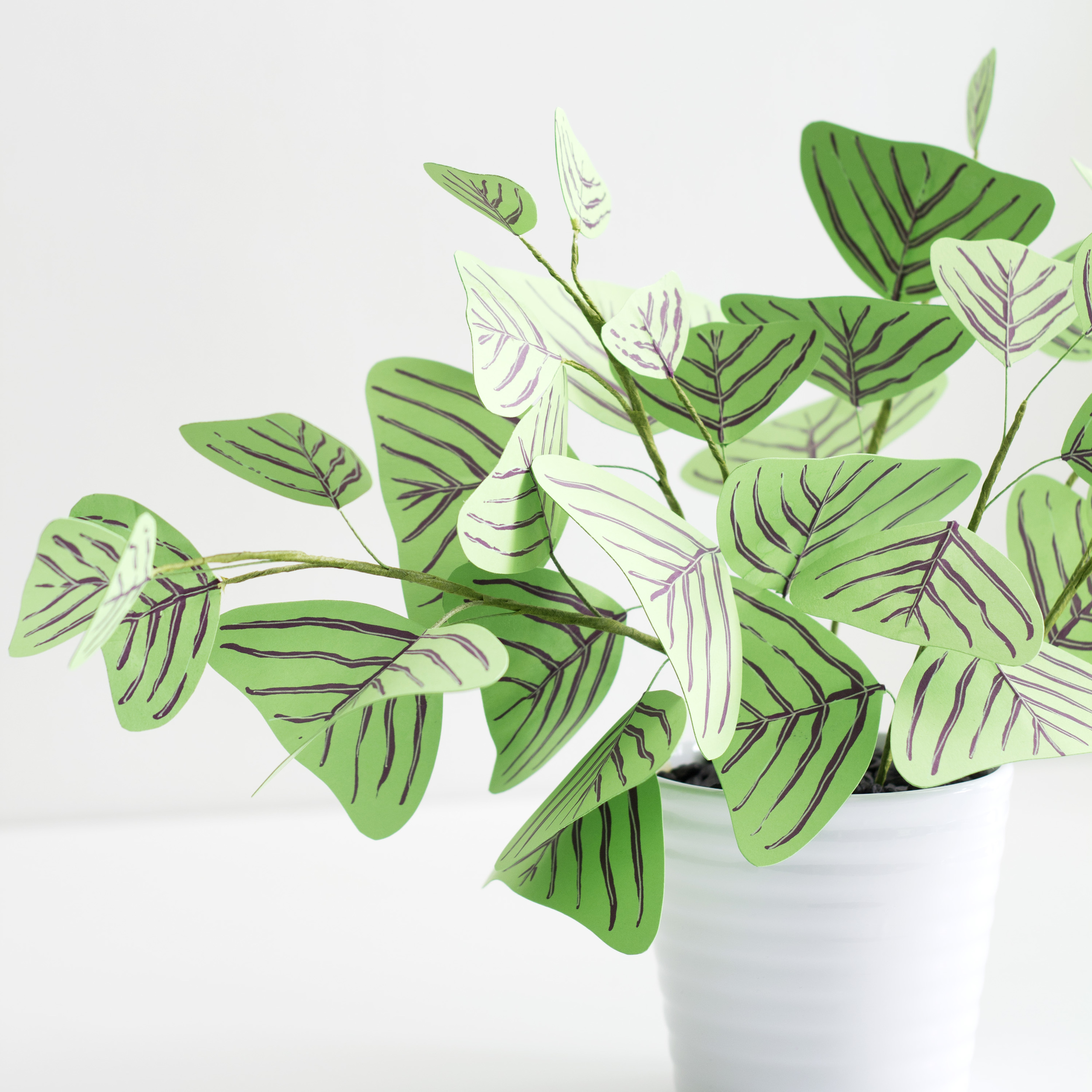 PAPER PLANTS — Corrie Beth Hogg