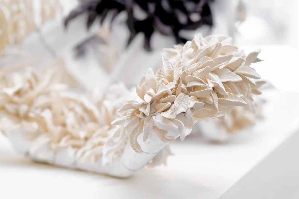 Viral with Gallery House — Jess Riva Cooper