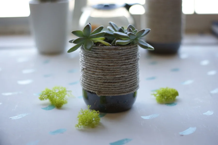 Plastic Bottle Plant Pots