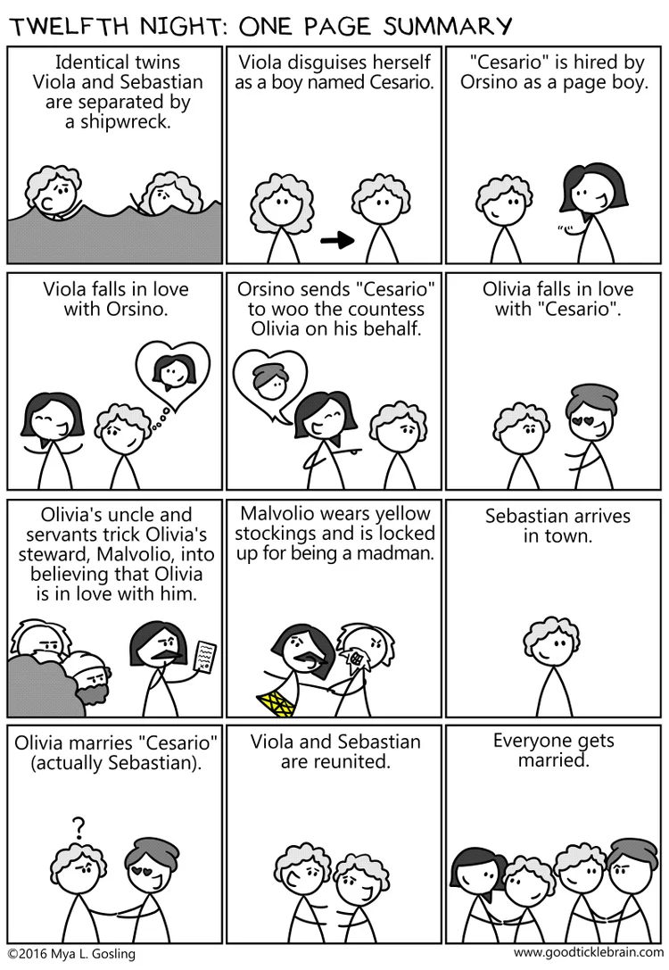 Twelfth Night: Final Summary — Good Tickle Brain