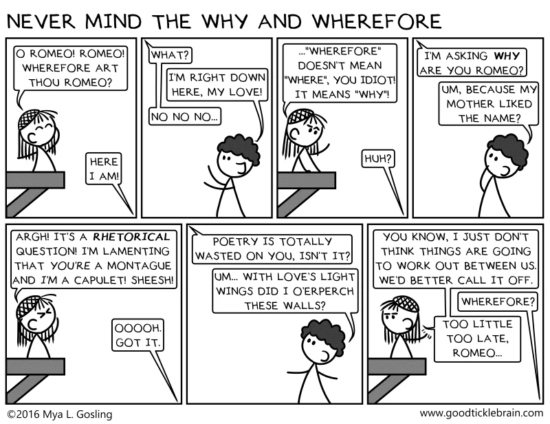 Never Mind the Why and Wherefore — Good Tickle Brain