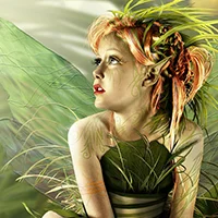 Susan Schroder Photography