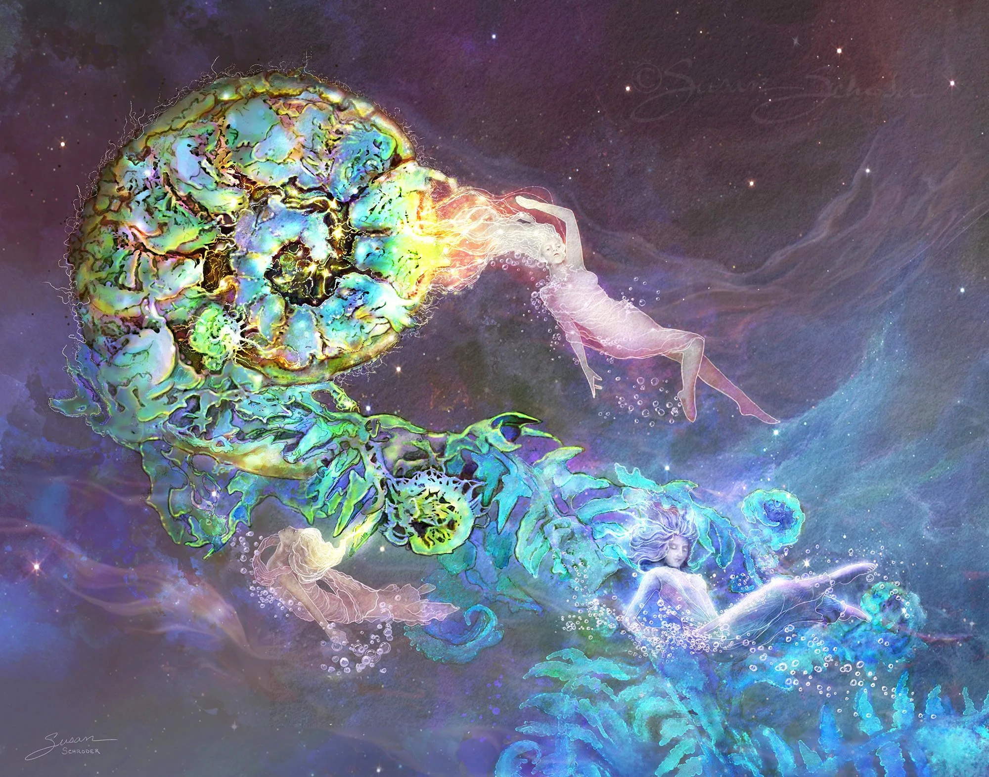 Art Gallery of the Fantastical — Susan Schroder Arts