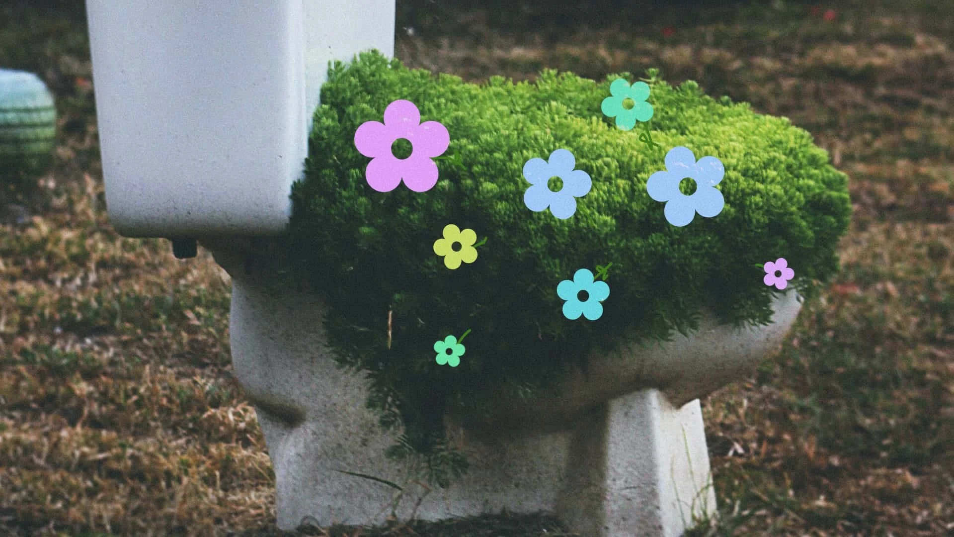 The Scoop On Poop - LIFE HEALING LIFE