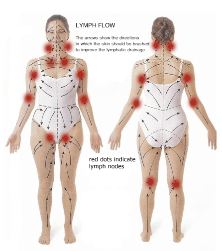 Reduce The Swell Support Your Cells An Overview Of Manual Lymphatic
