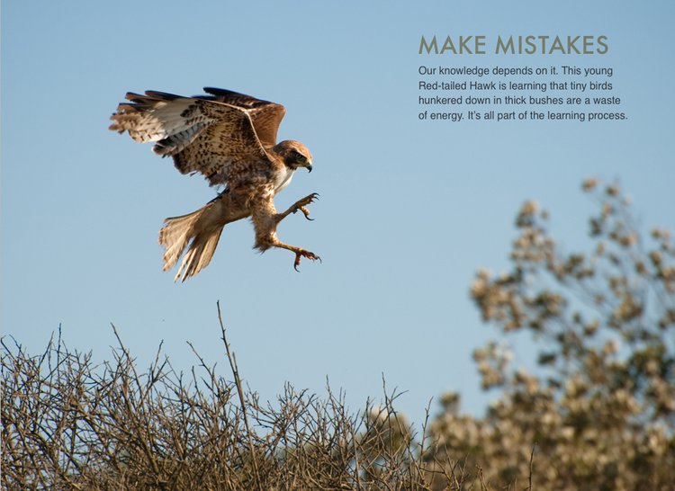 BIRD KNOWLEDGE (for iPad) — KITUNDU