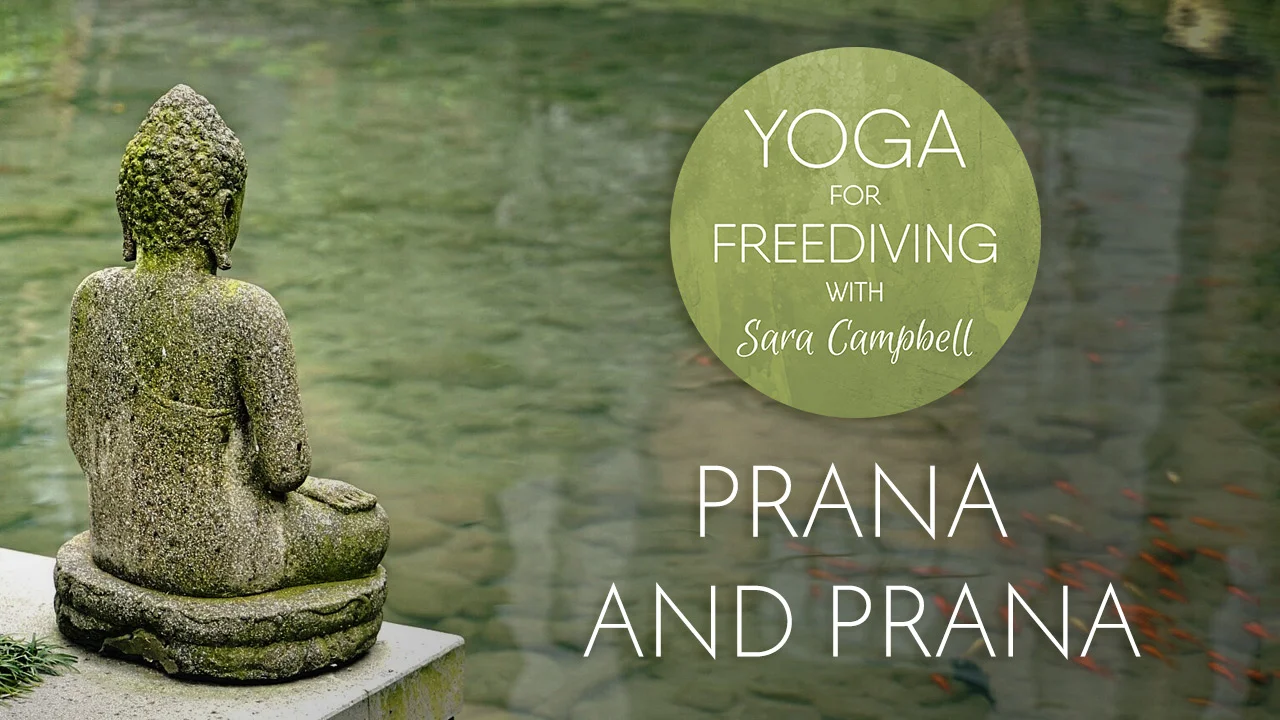 Prana and prana - how to maximise your energy and potential — Discover ...
