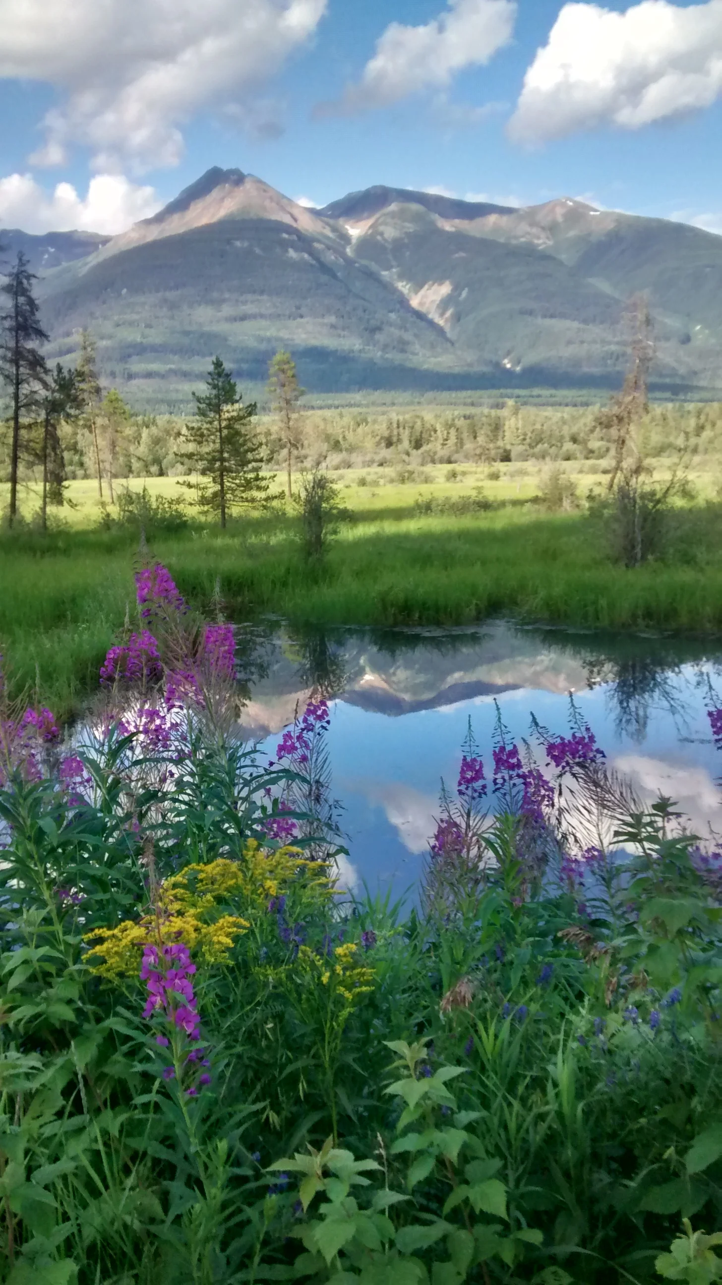 the mysterious big beautiful — Kay Bruner