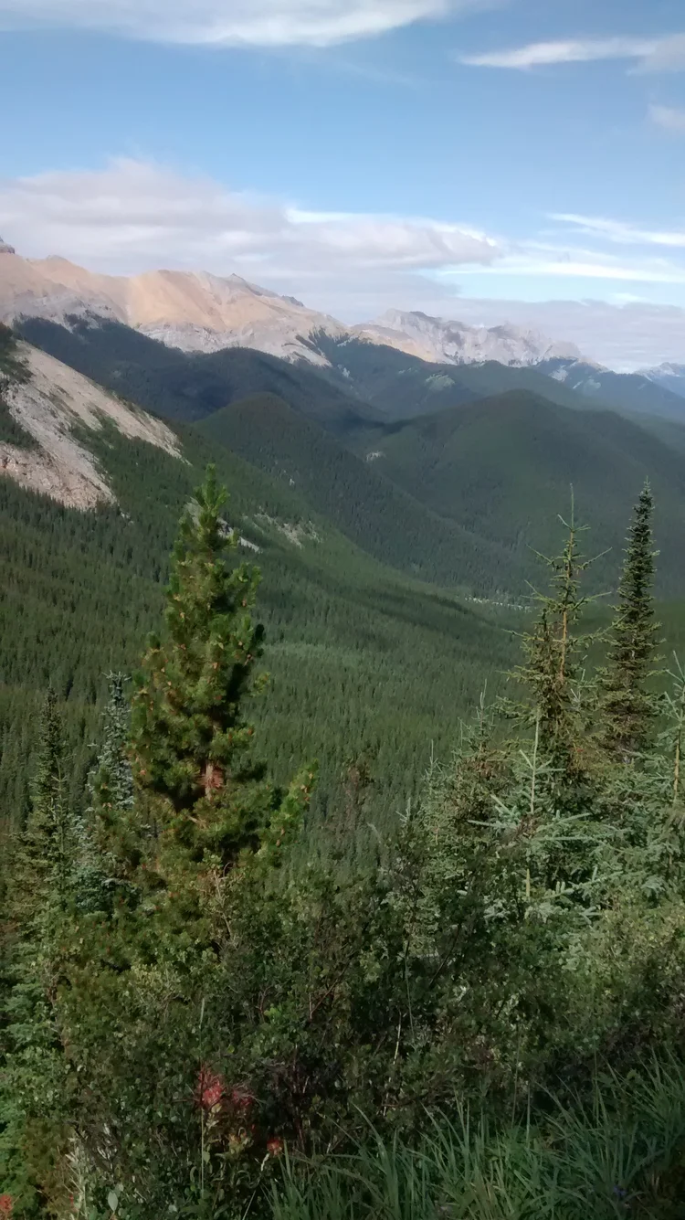 the mysterious big beautiful — Kay Bruner