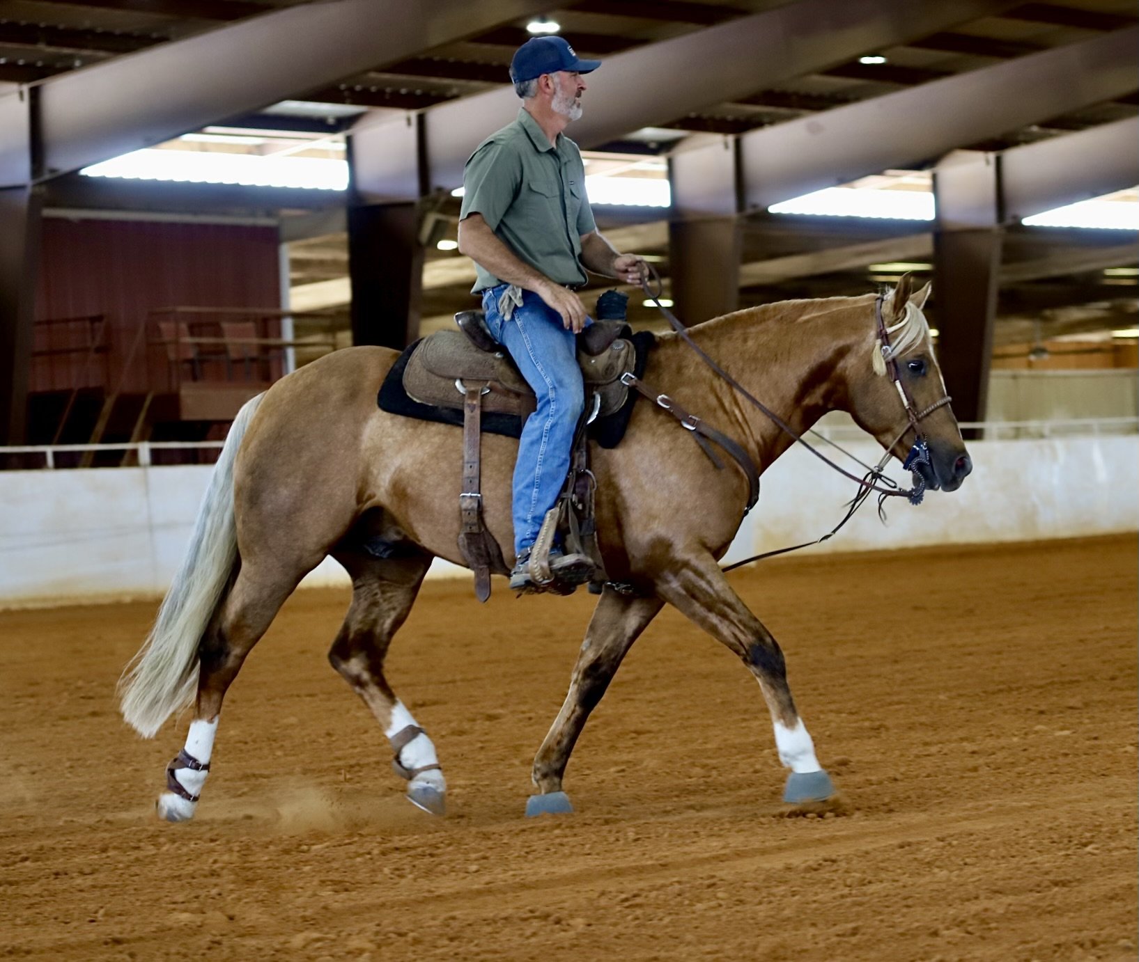 Reel Deal — The Ranch Equine, Inc.