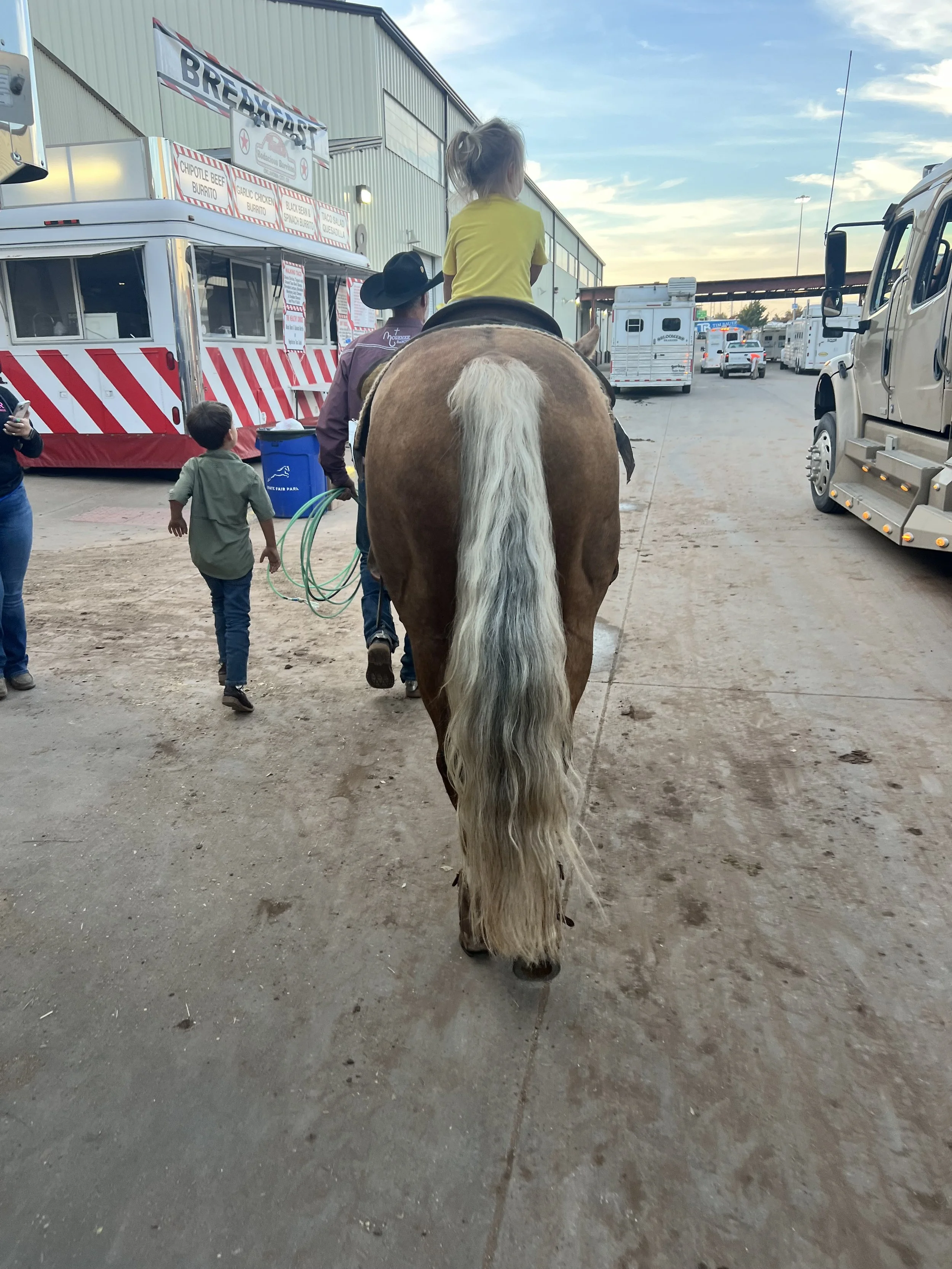 Reel Deal — The Ranch Equine, Inc.